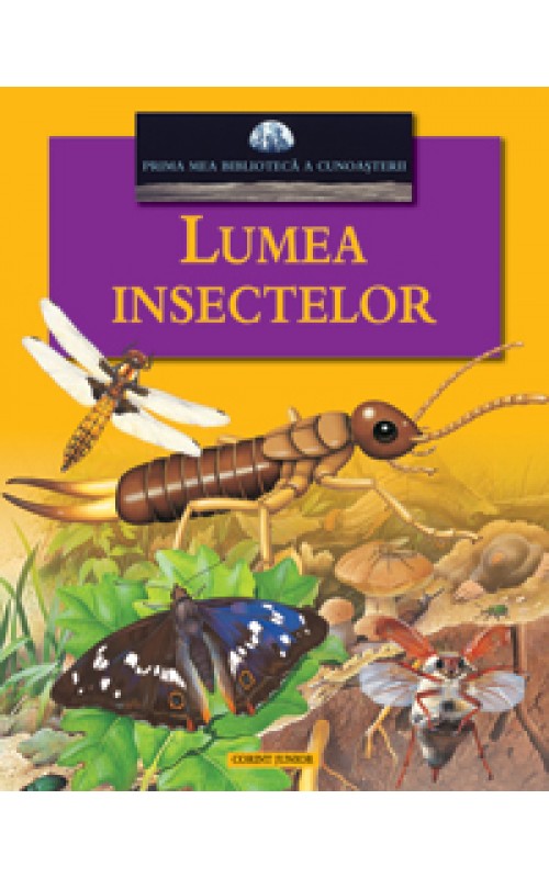 Lumea insectelor